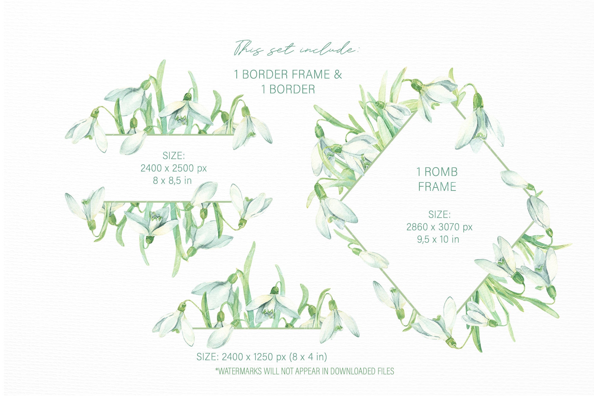 Watercolor Floral Frame Png. Snowdrop Flower Wreath. White Flower ...