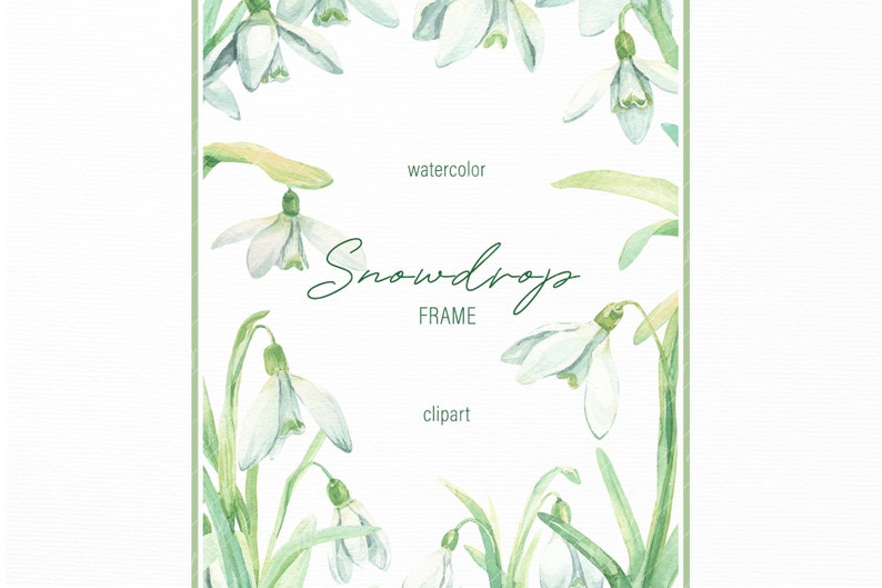 Watercolor Floral Frame Png Snowdrop Clipart. White Flower Clipart ...