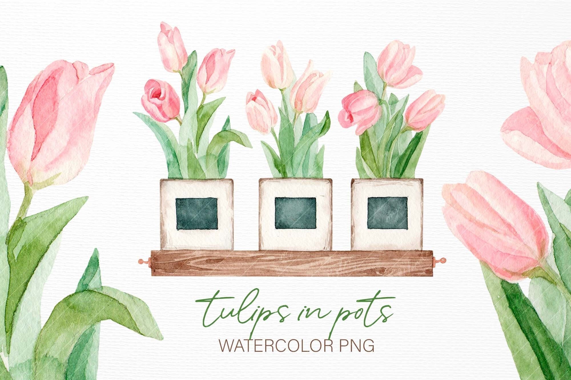 Watercolor Tulips Clipart Potted Plants Png Floral Scrapbooking or ...