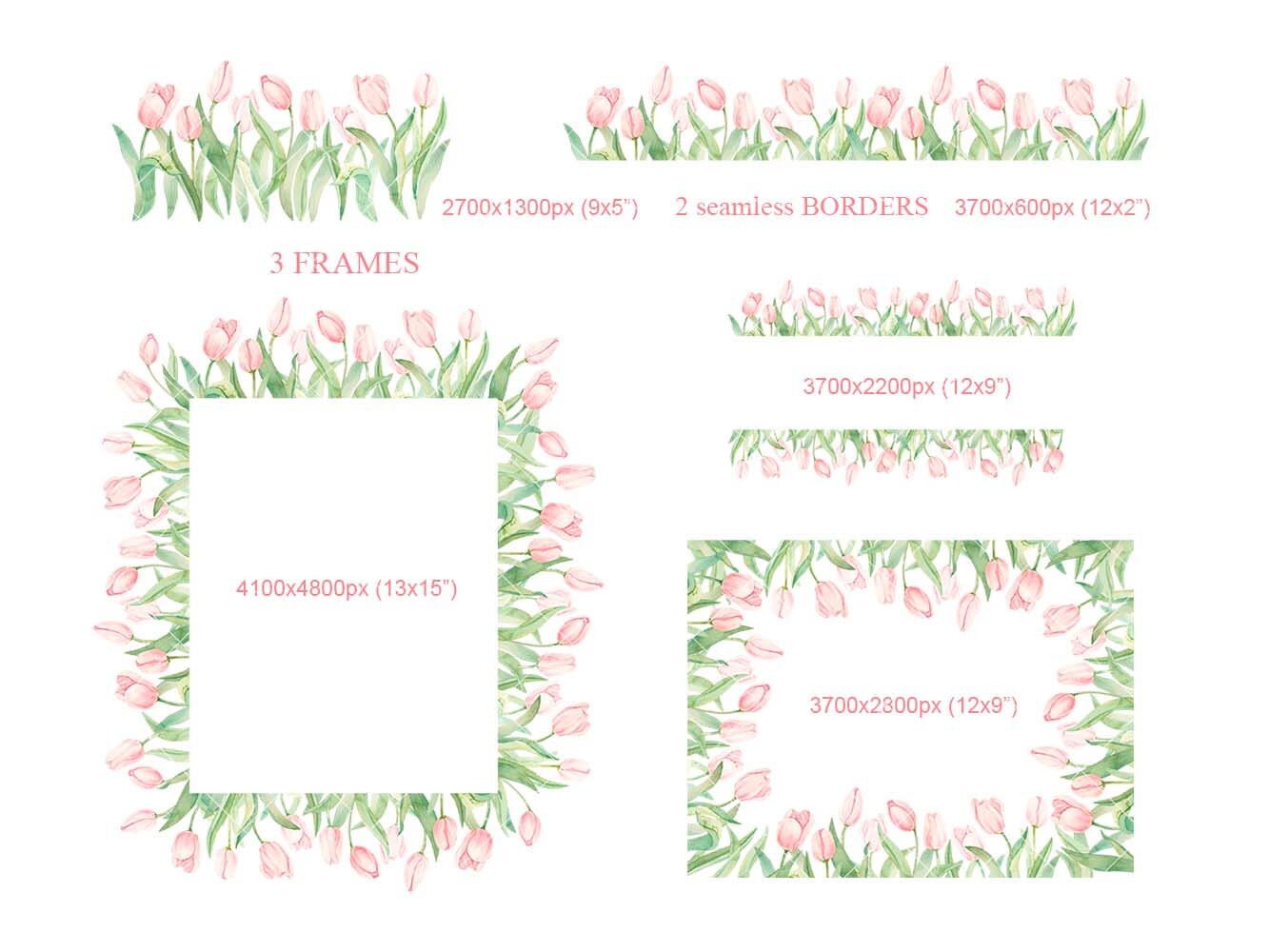 Watercolor Tulip Clipart Border Frame Clipart. Spring Flower Wreath Png ...