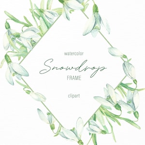 Floral Frame Png Watercolor Snowdrop Clipart. White Flower Clipart ...