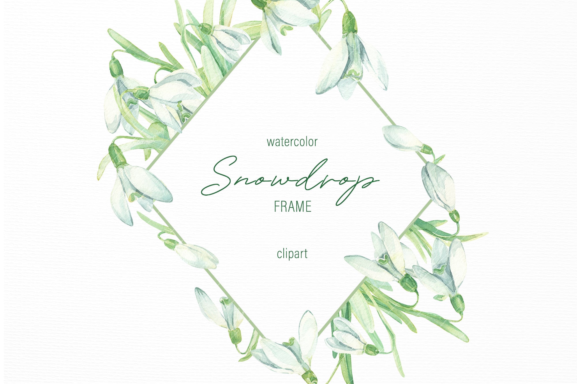Floral Frame Png Watercolor Snowdrop Clipart. White Flower Clipart ...