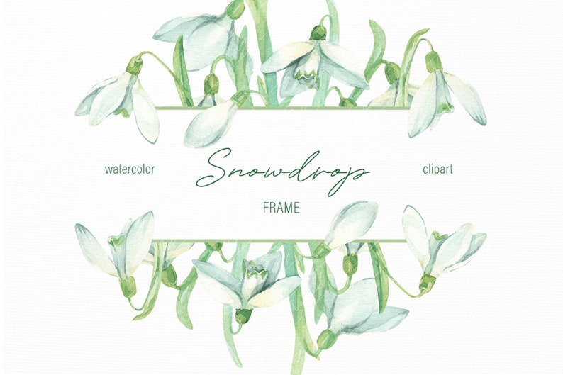Floral Frame Png Watercolor Snowdrop Clipart. White Flower Clipart ...