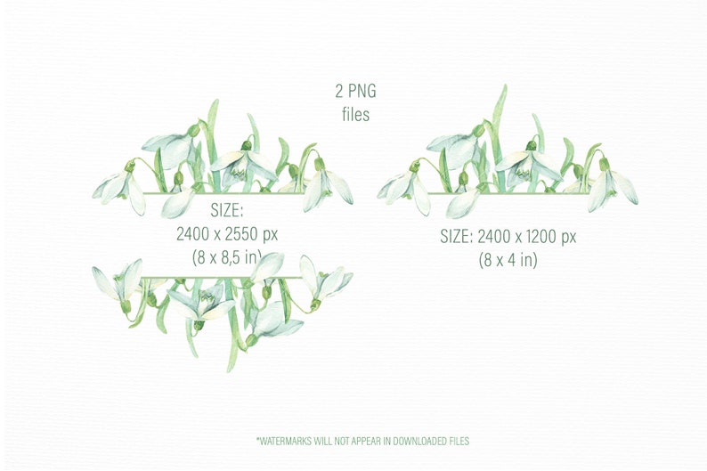 Floral Frame Png Watercolor Snowdrop Clipart. White Flower Clipart ...