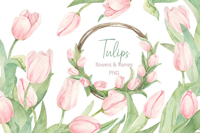 Watercolor Tulip Clipart Border Frame Clipart. Spring Flower Wreath Png ...