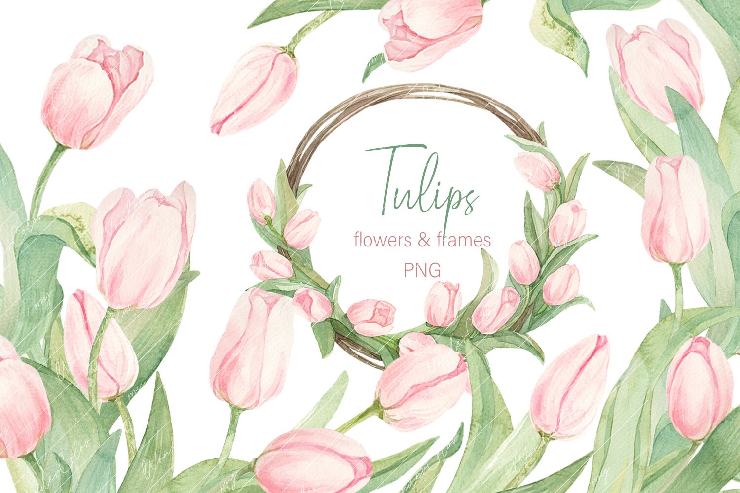 Tulip Border Clip Art