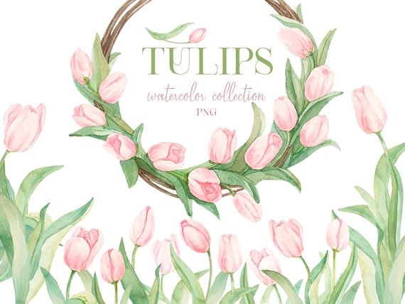 Tulip Border Clipart
