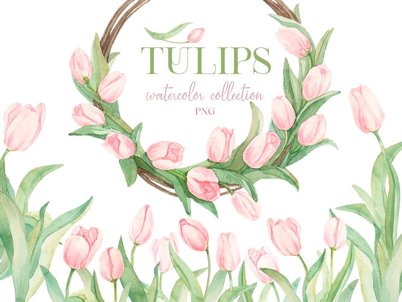 Watercolor Tulip Clipart Border Frame Clipart. Spring Flower Wreath Png ...
