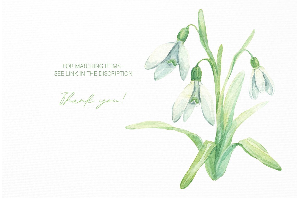 Floral Frame Png Watercolor Snowdrop Clipart. White Flower Clipart ...