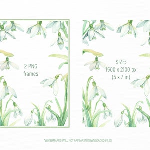 Watercolor Floral Frame Png Snowdrop Clipart. White Flower Clipart ...