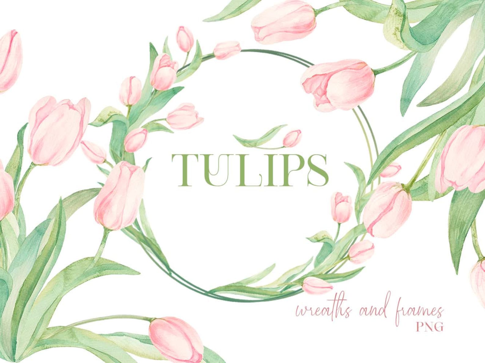 Watercolor Tulip Clipart. Floral Frame Clipart. Spring Flower PNG Tulip ...