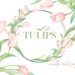 Watercolor Tulip Clipart. Floral Frame Clipart. Spring Flower PNG Tulip ...