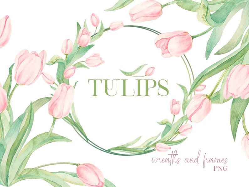 Watercolor Tulip Clipart. Floral Frame Clipart. Spring Flower PNG Tulip ...