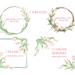 Watercolor Tulip Clipart. Floral Frame Clipart. Spring Flower PNG Tulip ...
