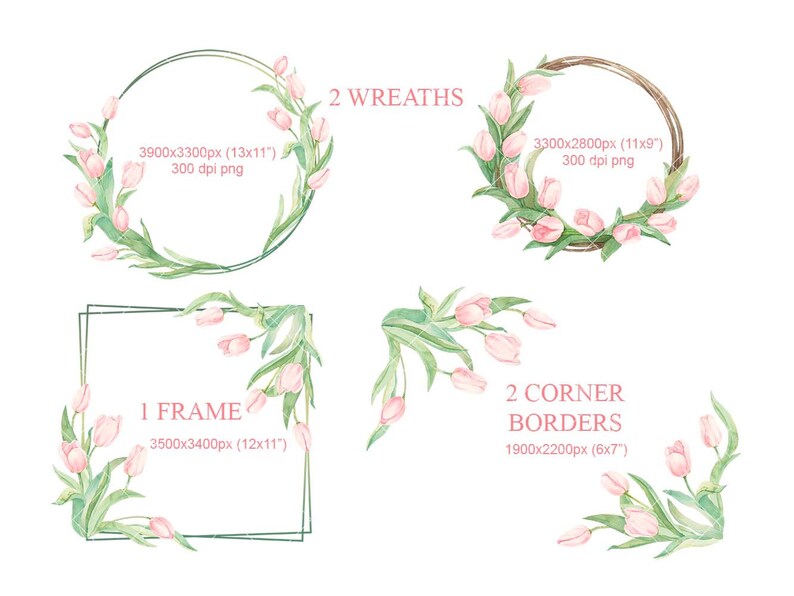Watercolor Tulip Clipart. Floral Frame Clipart. Spring Flower PNG Tulip ...