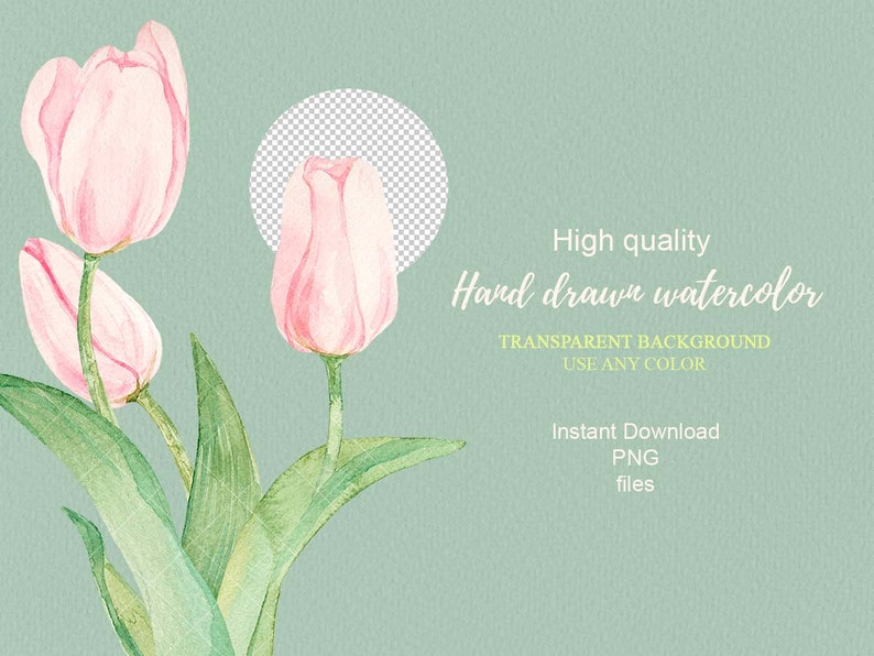 Tulips Watercolor Floral Clipart Flower Bouquets PNG Tulips Spring ...
