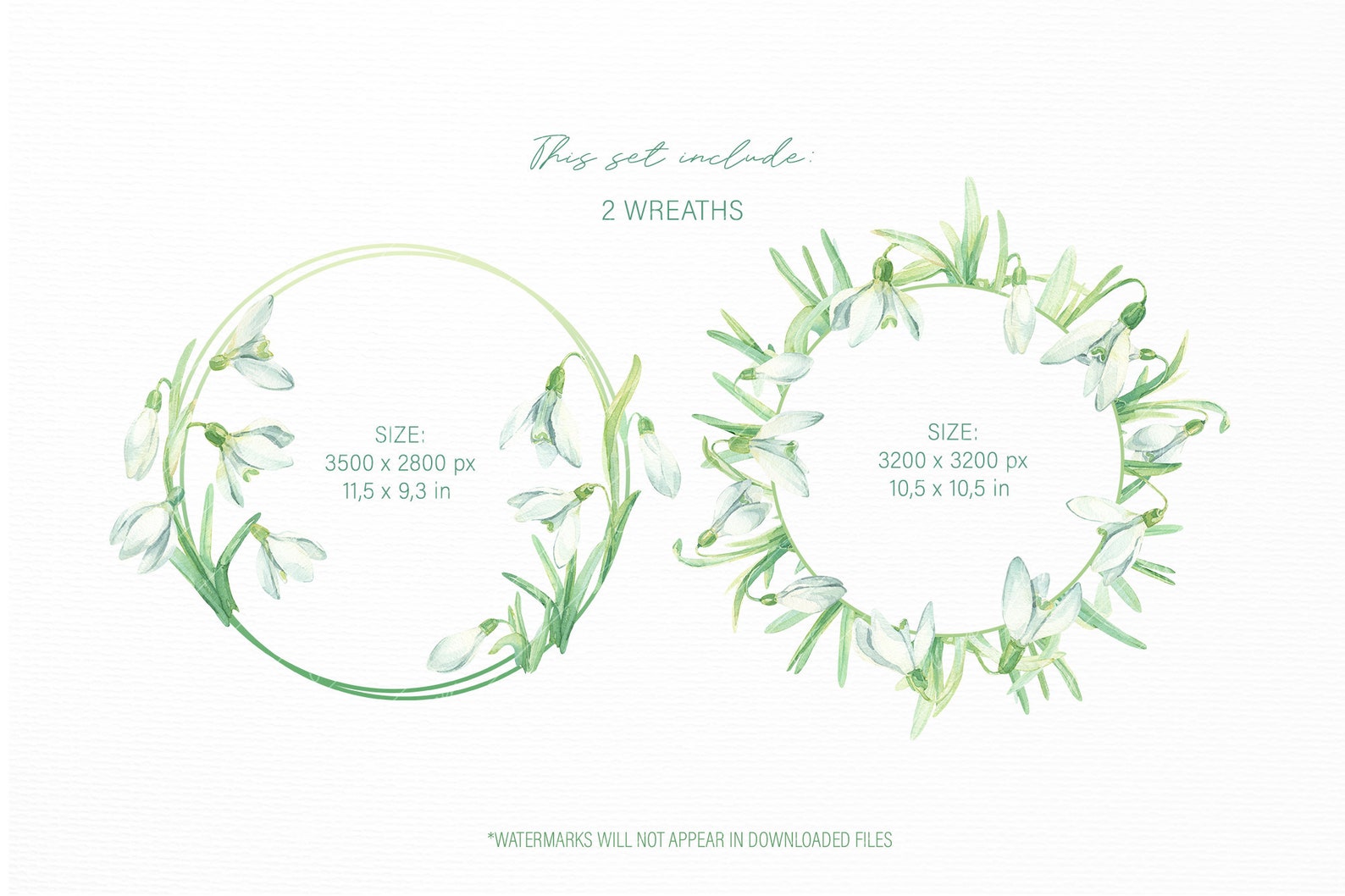 Watercolor Floral Frame Png. Snowdrop Flower Wreath. White Flower ...