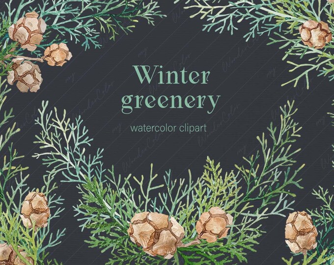 Watercolor Winter Clipart - Watercolor Winter Greenery - Winter Forest ...