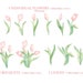 Watercolor Tulip Clipart Border Frame Clipart. Spring Flower Wreath Png ...
