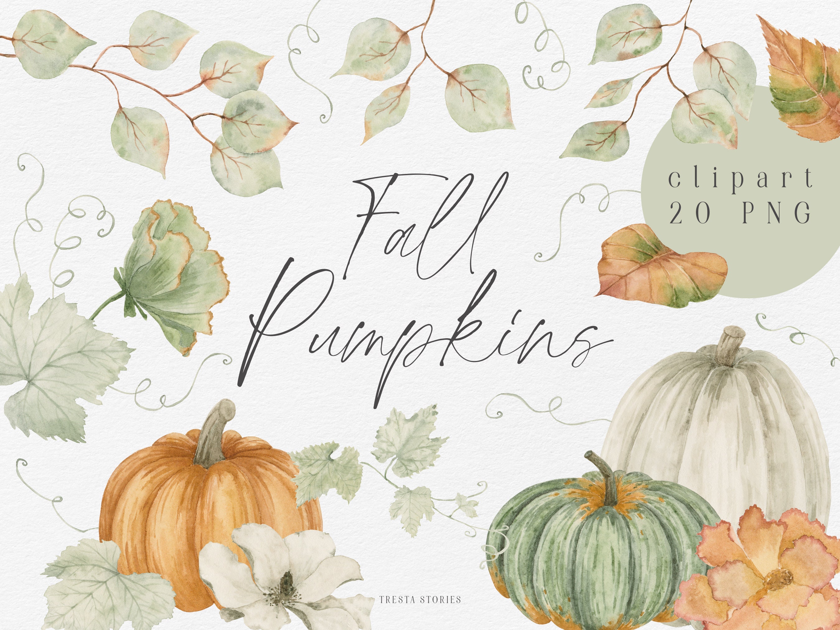 Watercolor Pumpkin Clipart, Fall Pumpkin Png, Autumn Wedding ...