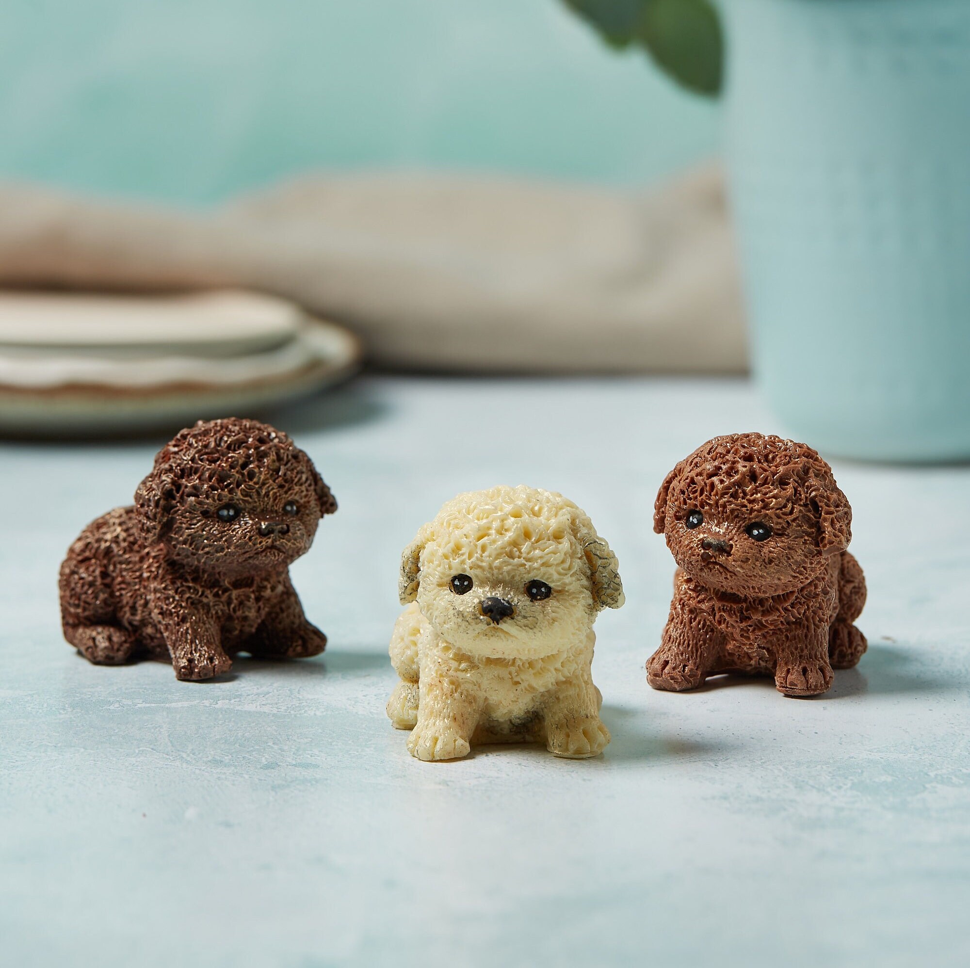 Small Solid Chocolate Teddy Dog - Etsy UK