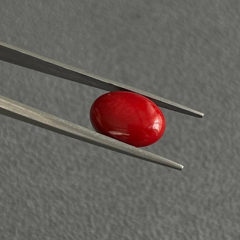 Red Oval Coral Cabochon , Red Coral Gemstones , Dyed Oval Coral ...