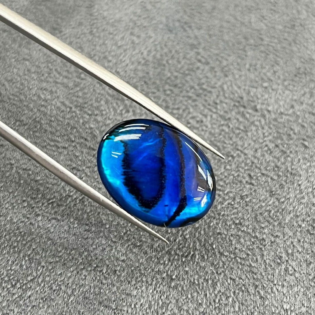 Natural Blue Paua Abalone Shell, Oval Cabochon, Loose Natural Gemstone ...