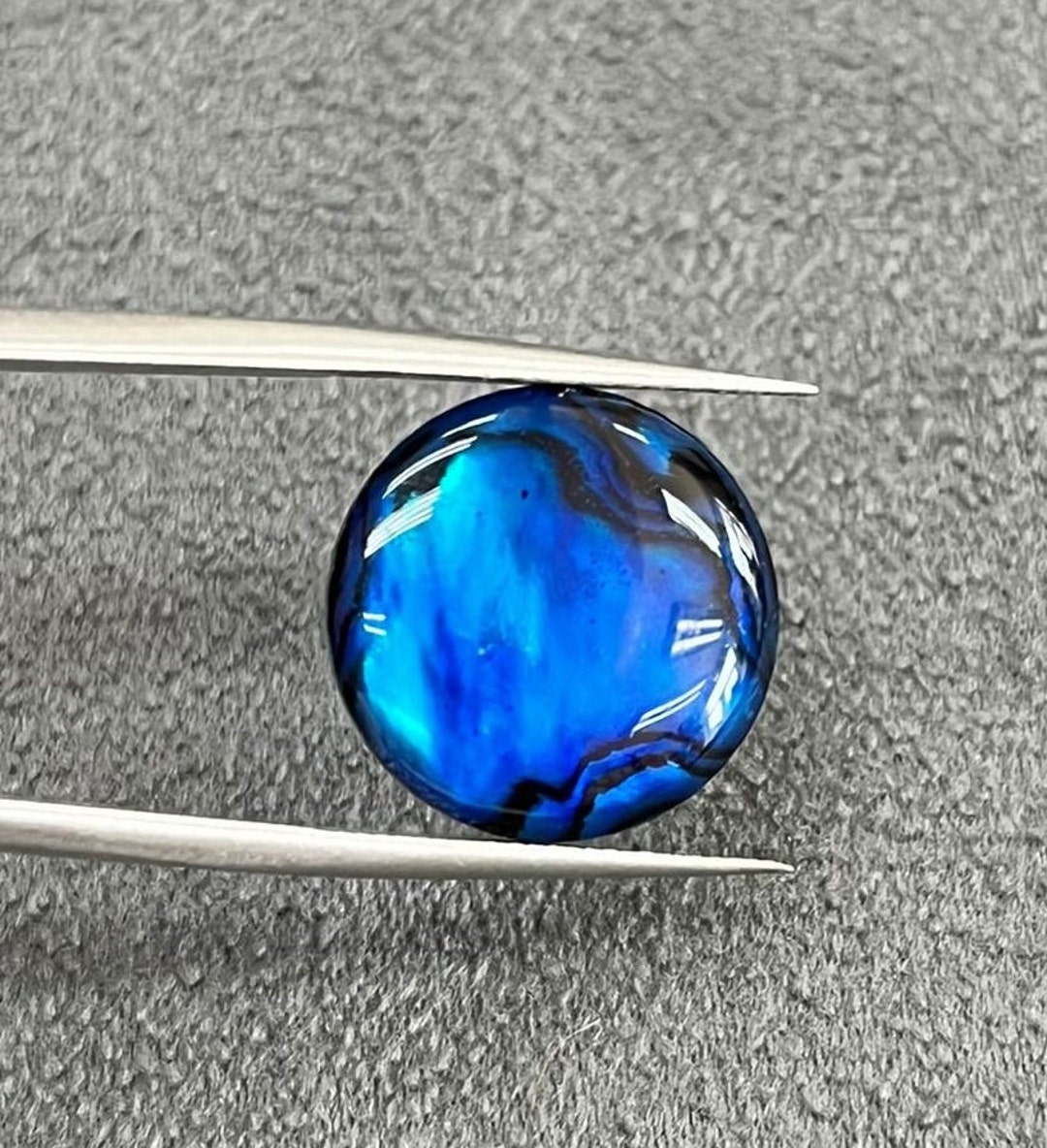 Natural Blue Paua Abalone Shell Round Cabochon, Loose Natural Gemstone ...