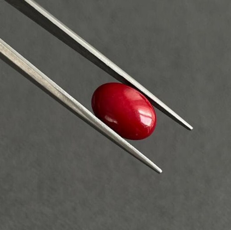 Red Oval Coral Cabochon , Red Coral Gemstones , Dyed Oval Coral ...