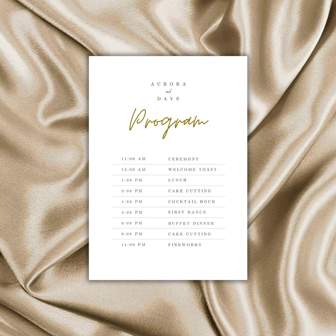 Custom Wedding Infographic Program Canva Template Wedding Itinerary ...