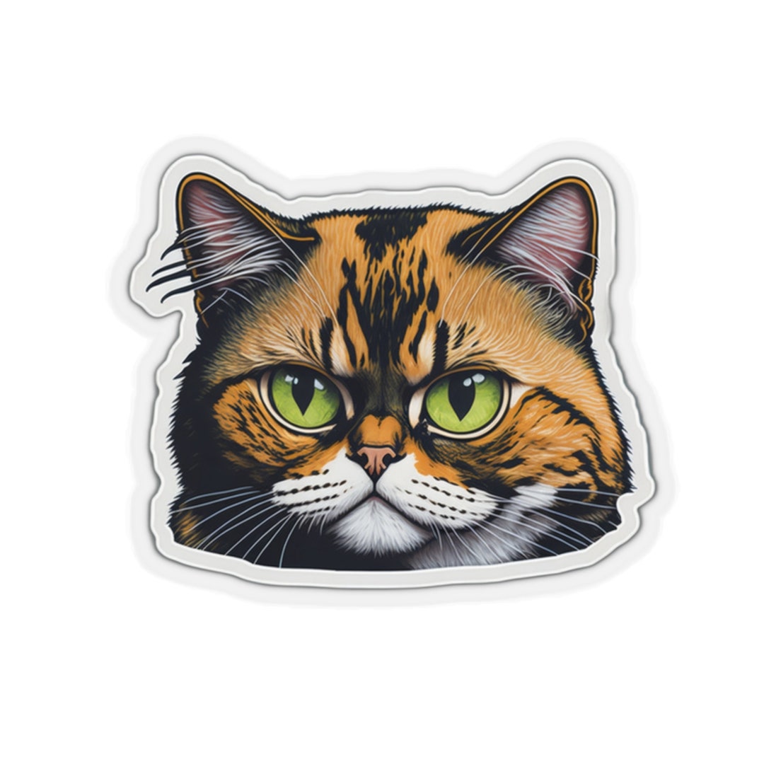 Bombastic Side Eye Cat Sticker - Etsy