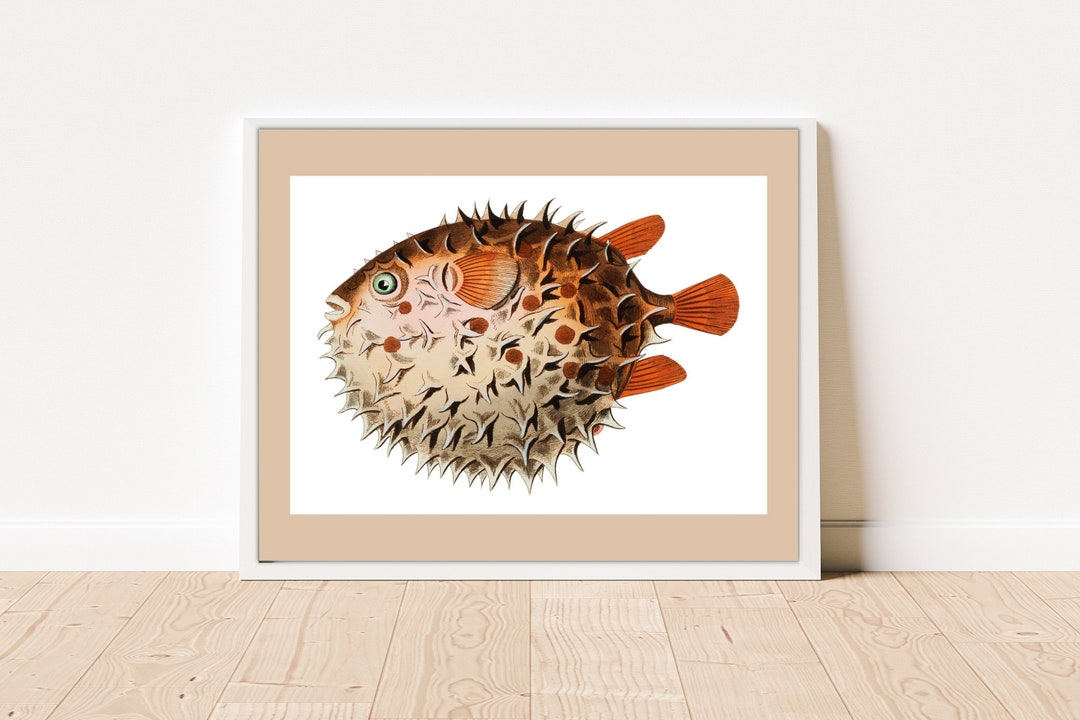 Printable Art Based on Orbicular Diodon or Round Diodon - Etsy