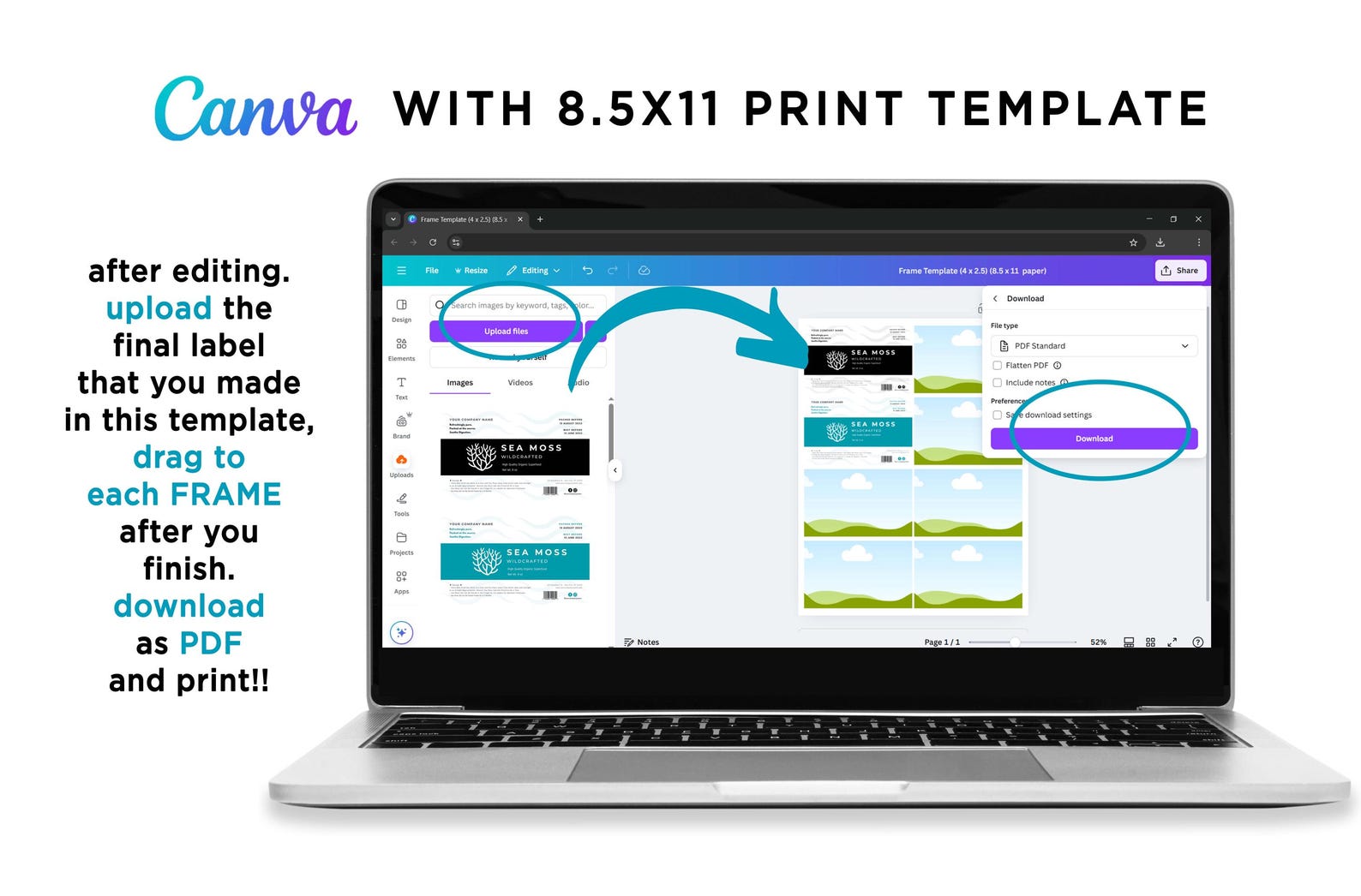 Sea Moss Label Template: Editable Canva Design (digital Download) - Etsy