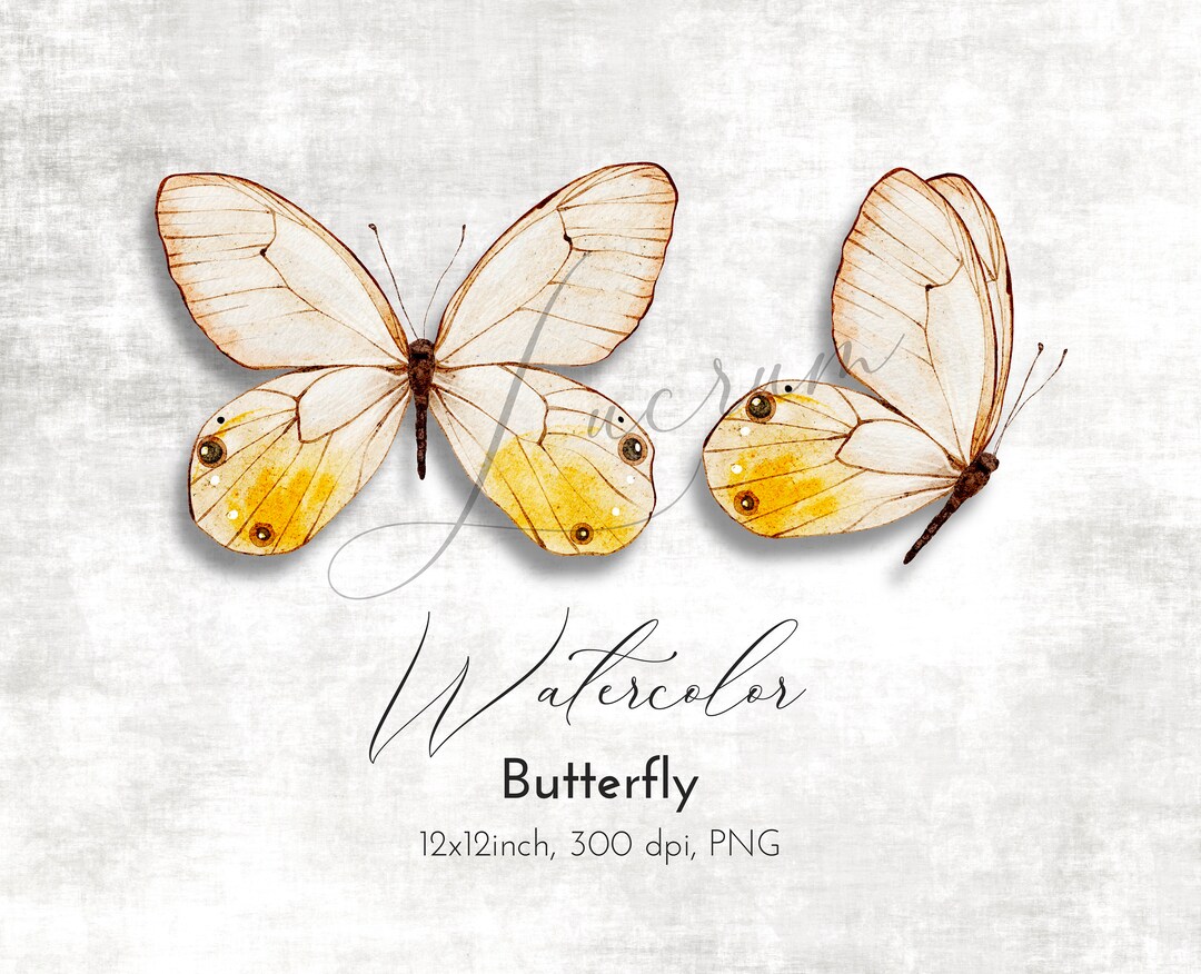 Blue Watercolor Butterfly Clipart, Pink Watercolor Butterfly Png ...