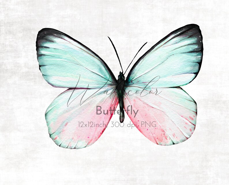 Blue Watercolor Butterfly Clipart, Pink Watercolor Butterfly Png ...
