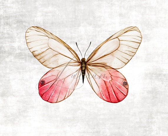 Vintage Butterfly Clip Art