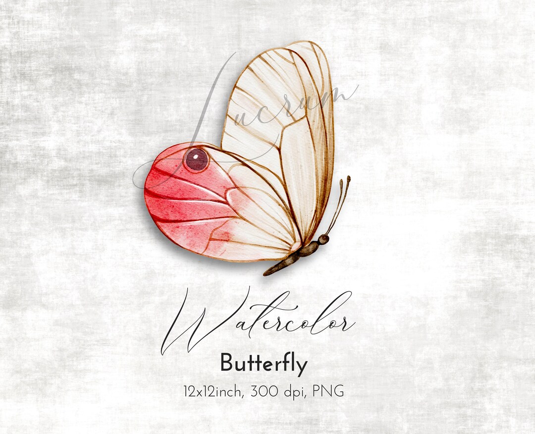 Vintage Watercolor Butterfly Clipart Watercolor Butterfly - Etsy