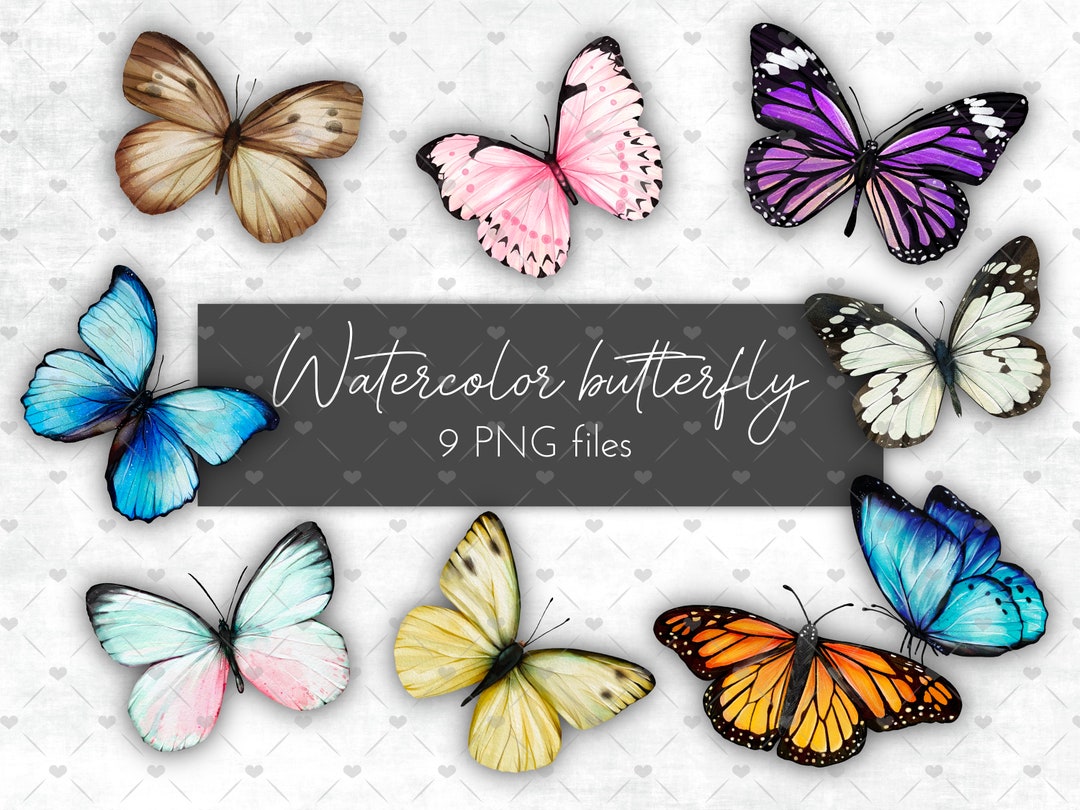 Watercolor Butterfly Clipart, Pink Butterfly, Spring Clip Art, Digital ...