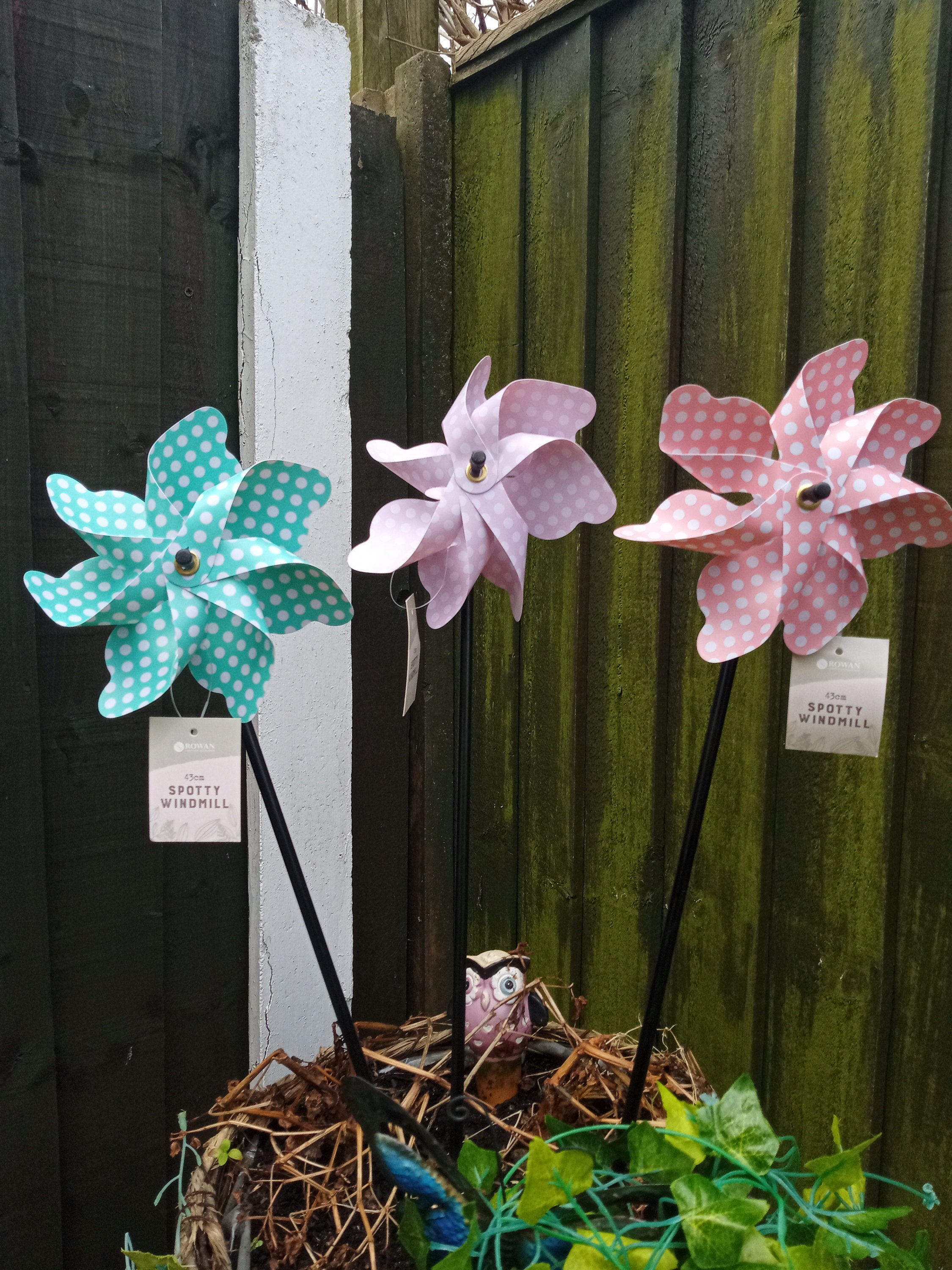 Spotty Windmill Flower Garden Decoration X3 Spinning Colourful ...