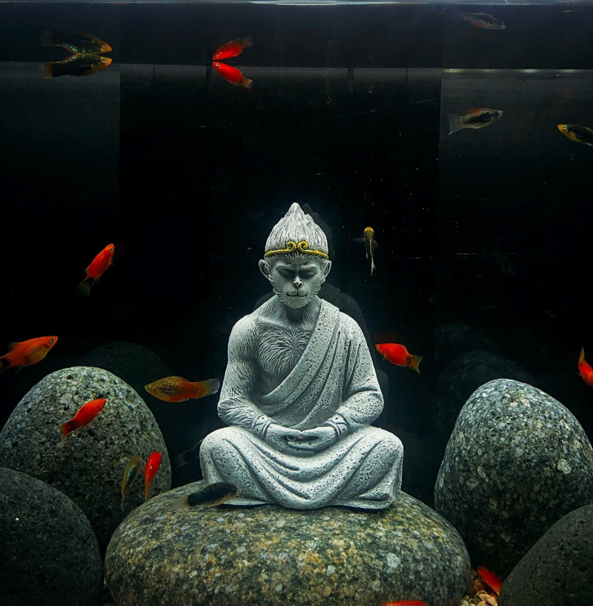 Wukong Meditating, Wukong Statues, Aquarium Decorations - Etsy