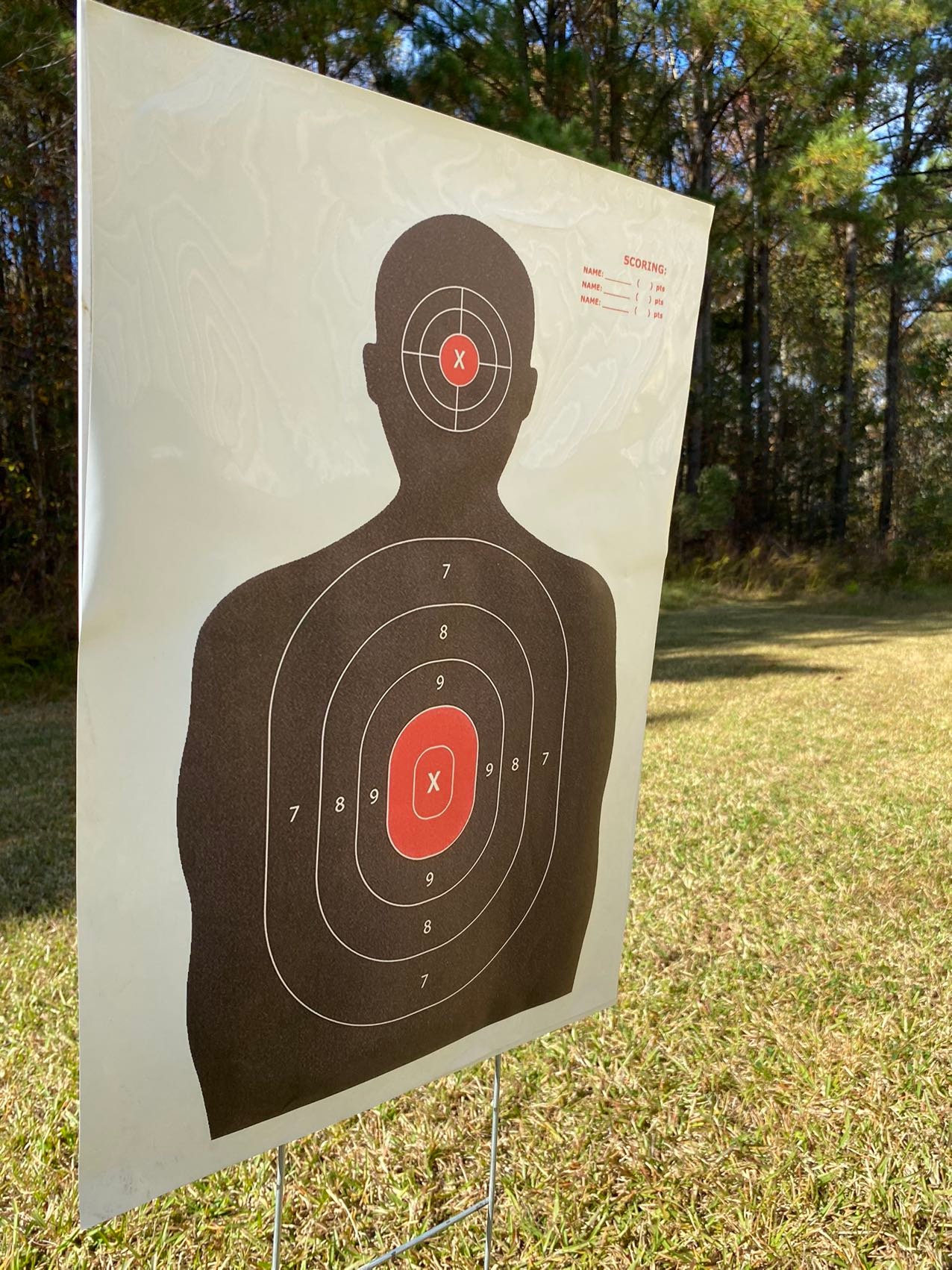 10 Bulks Shooting Target - Gun Range Target Practice Poster- Hunting ...