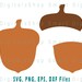 Acorn SVG | Simple Acorn Cut File | | Thanksgiving Autumn Fall Svg ...