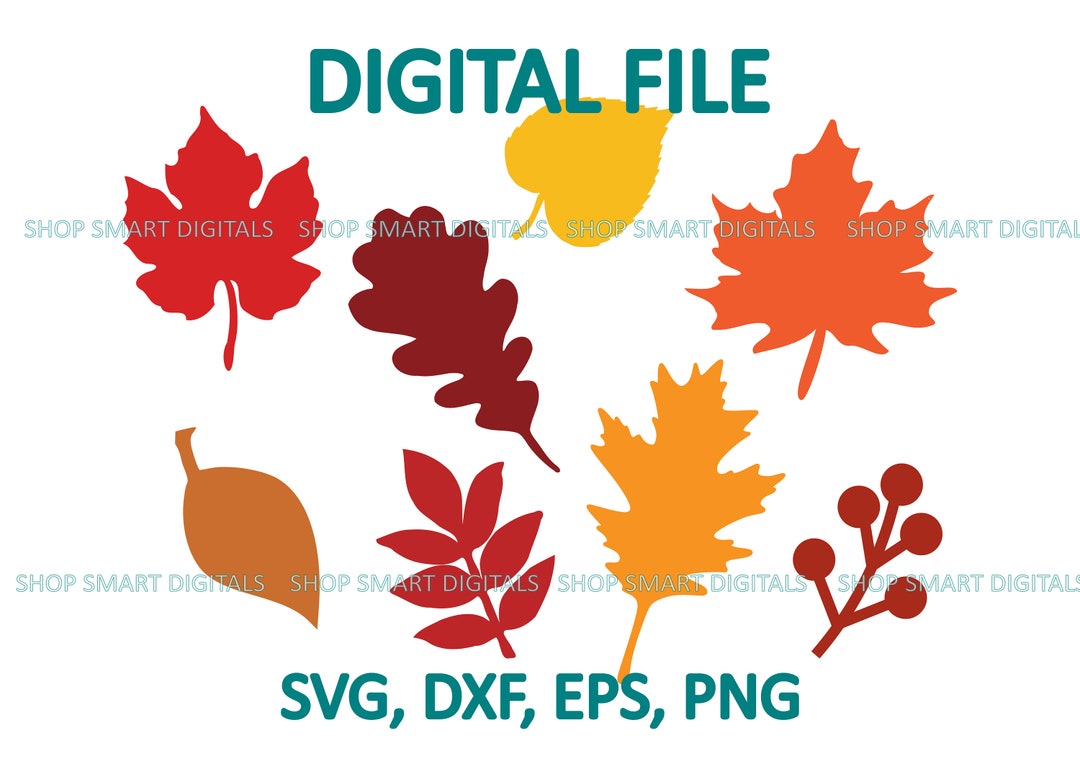 Fall Leaves Svg, Fall Svg, Fall Leaf Svg Bundle, Download for Cricut ...