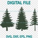 Pine Tree SVG | Christmas Tree SVG Cut File | Spruce Svg | Download ...