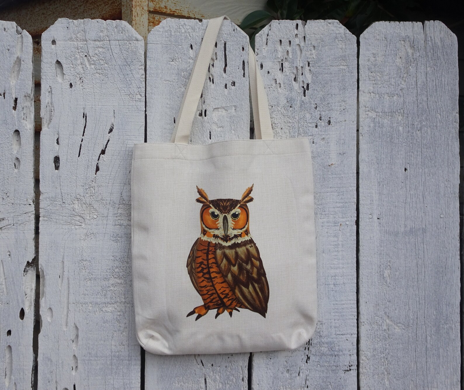 The Horned Owl, Cute Owl, Clipart, PNG, Digital Downloads, Animals - Etsy