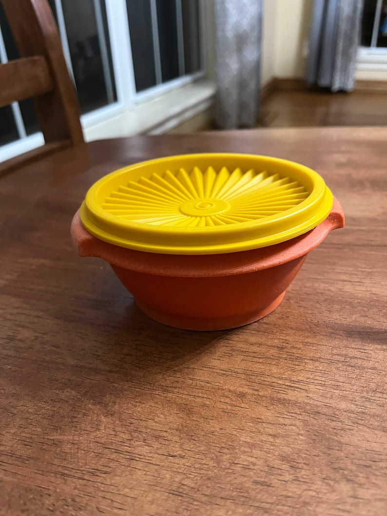 Vintage Tupperware Container With Lid 1323 - Etsy Canada
