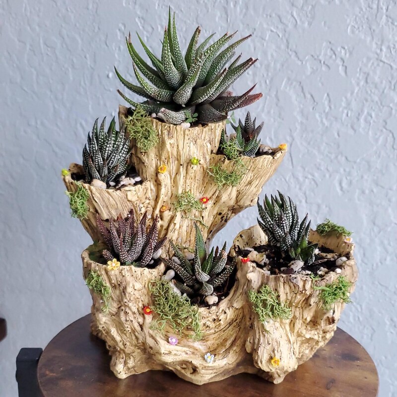 Succulent Log Planter - Etsy