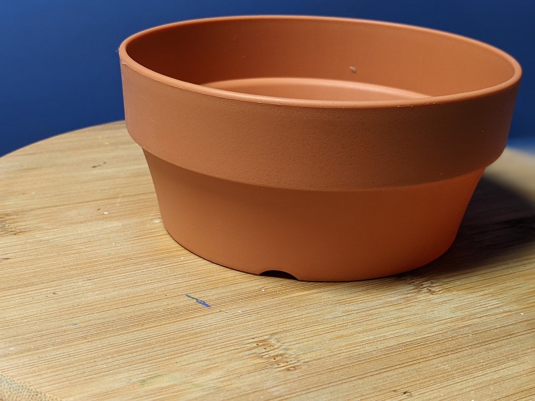 Shallow 5" D X 2.5" H Pot Plastic That Have the Shape and Color of a ...