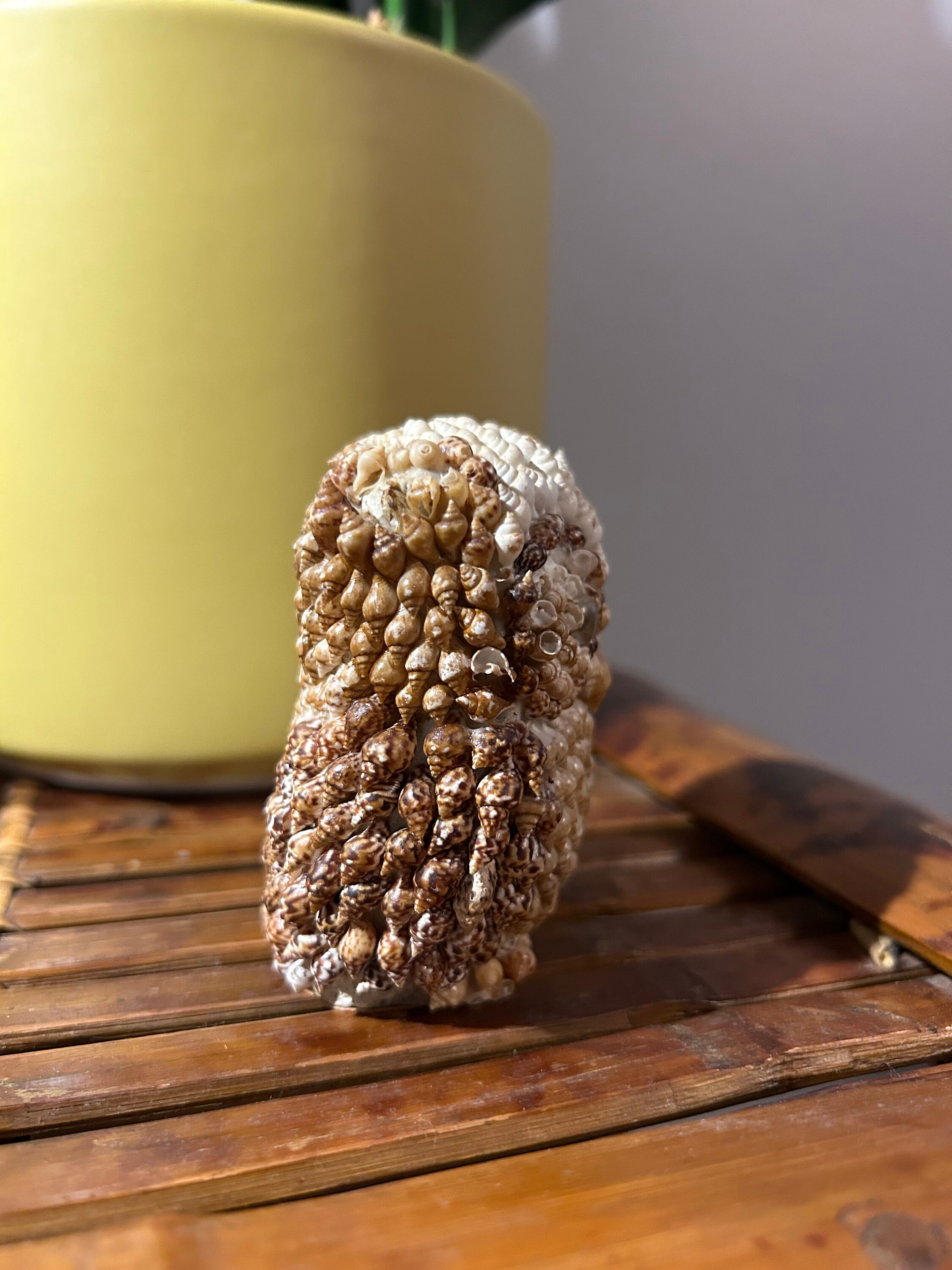 Owl Made of Tiny Shells - Etsy