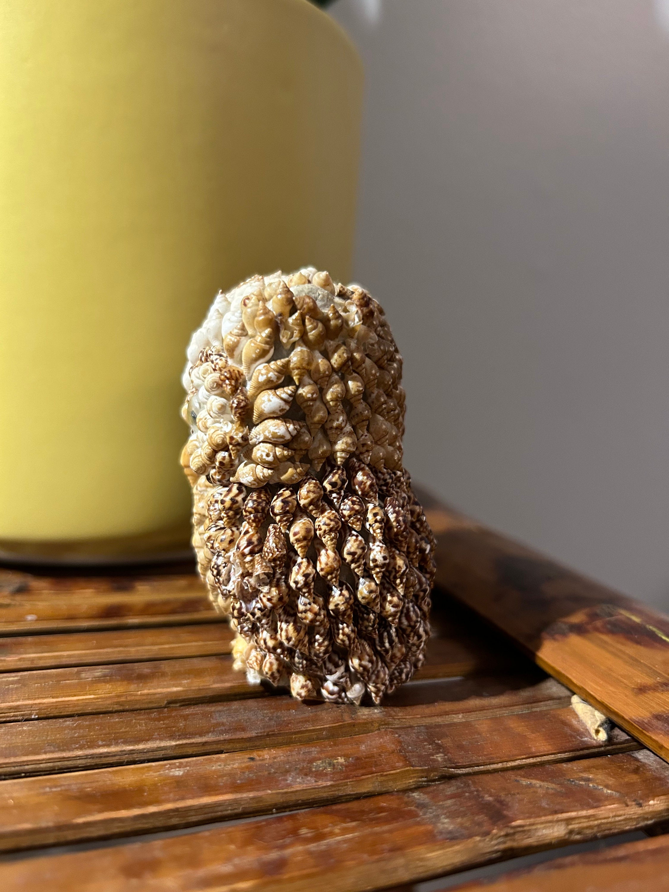 Owl Made of Tiny Shells - Etsy